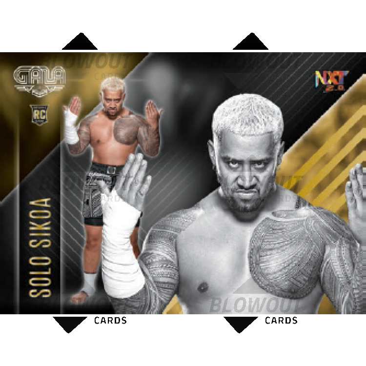 2022 Panini Chronicles WWE Hobby Box